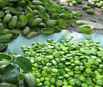 What is 5-HTP? - Chrogene Life Science,Inc.