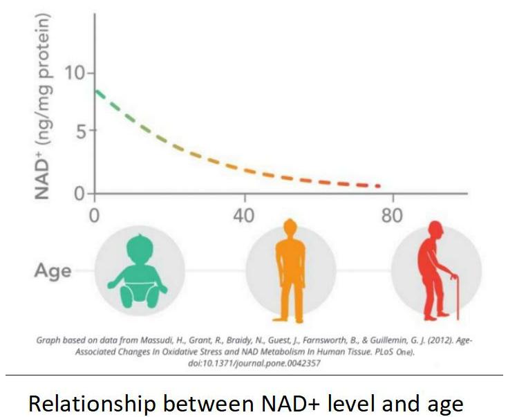 Some TRUTH about NMN - Chrogene Life Science,Inc.
